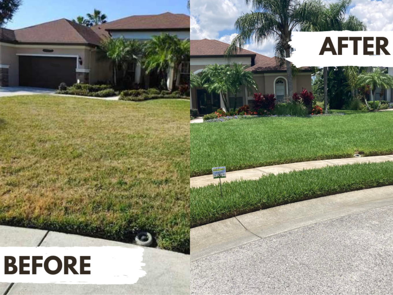 Lawn Treatments - Seabreeze Pest Control